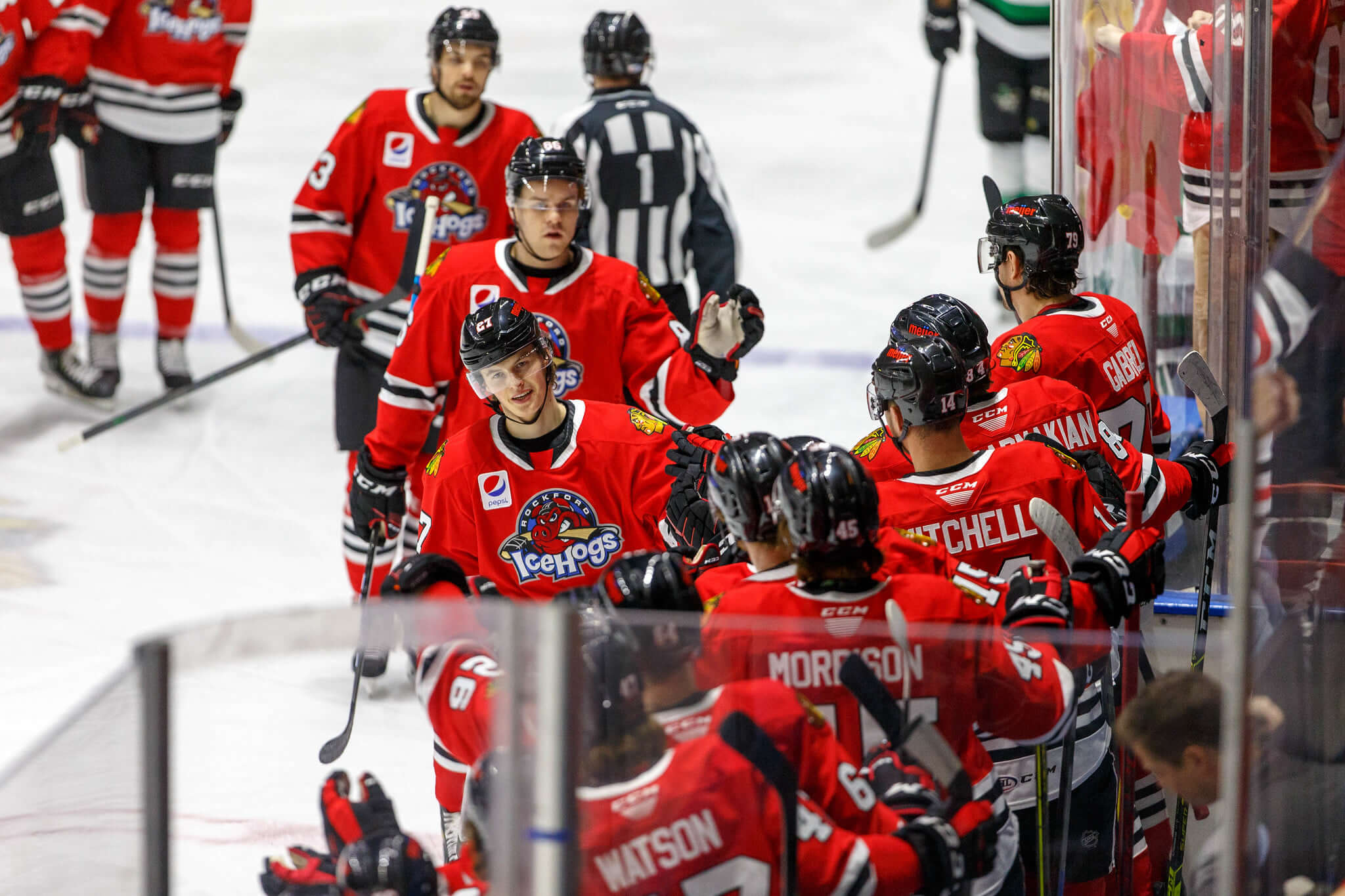 Have Some Family Fun at an IceHogs Game This Season | Stateline Kids