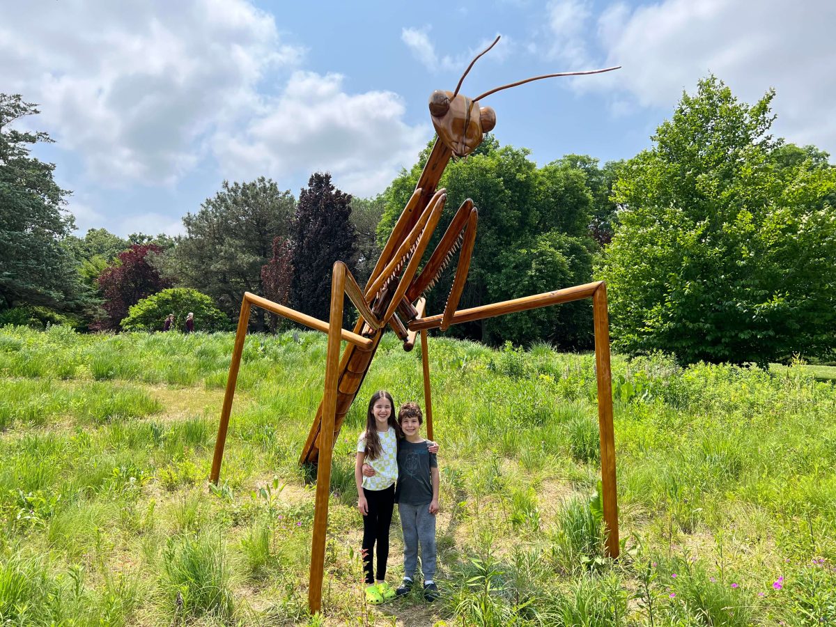 Get Ready to Bug Out: David Rogers' Big Bugs: The Pollinators Lands at ...