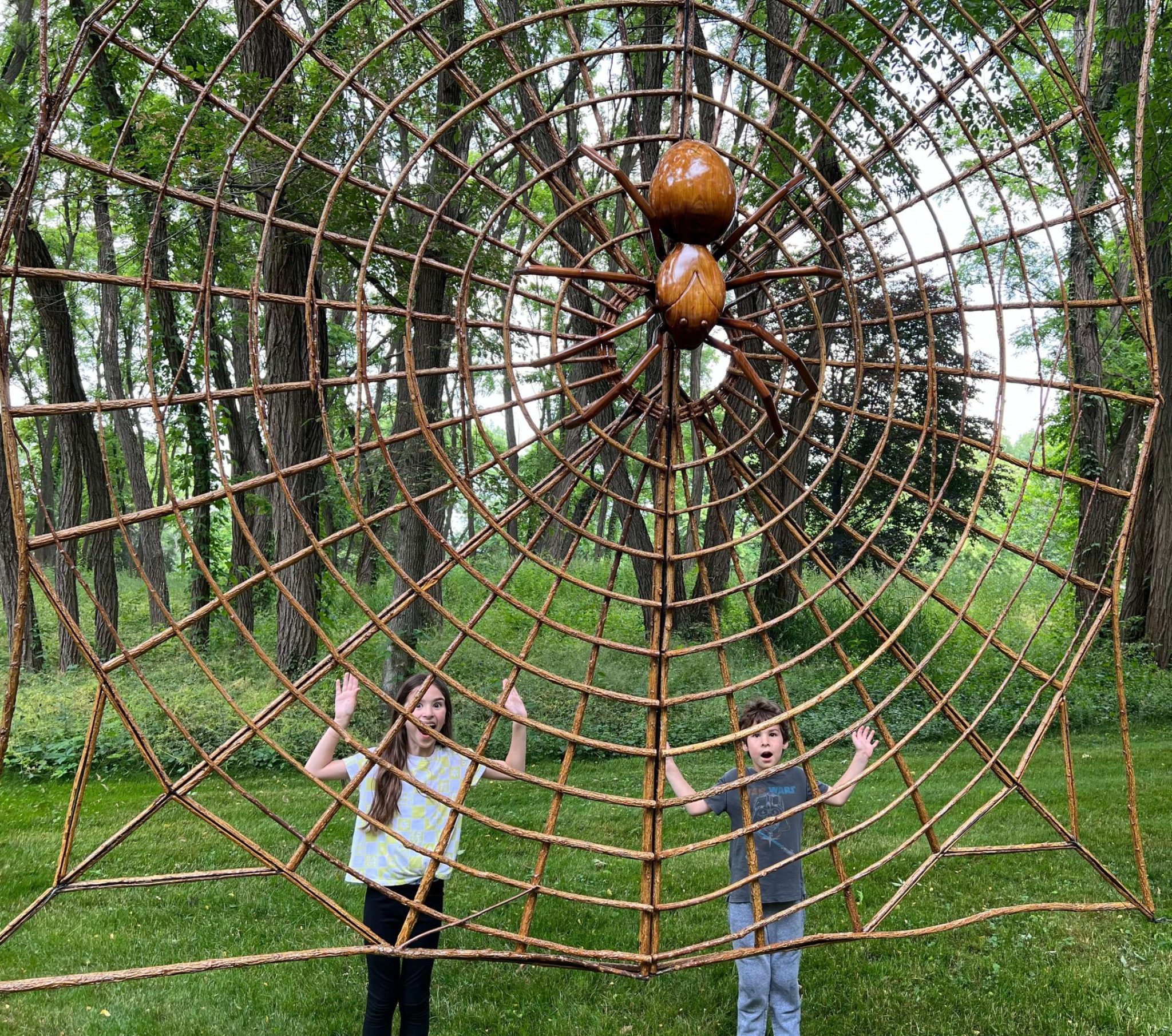 Get Ready to Bug Out: David Rogers' Big Bugs: The Pollinators Lands at ...