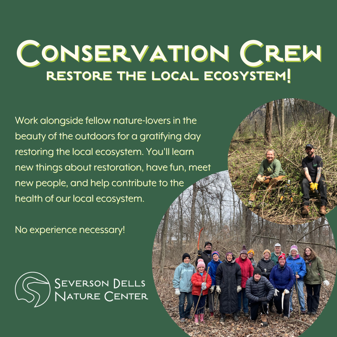 Conservation Crew - Stateline Kids