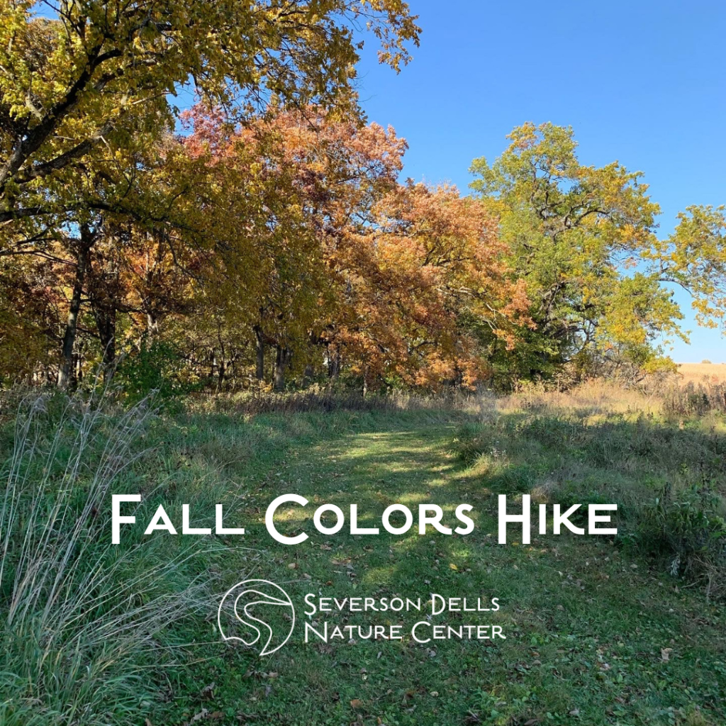 Fall Colors Hike! - Stateline Kids