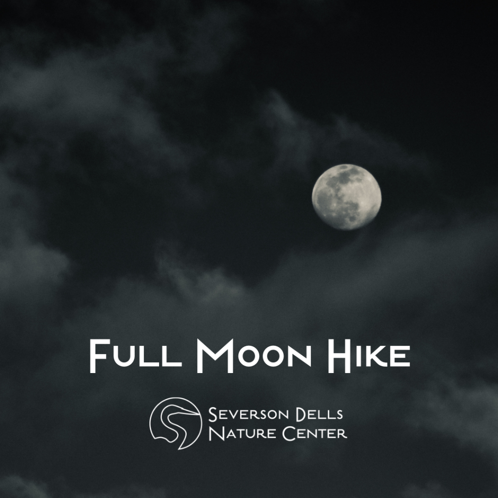 Full Moon Hike! - Stateline Kids