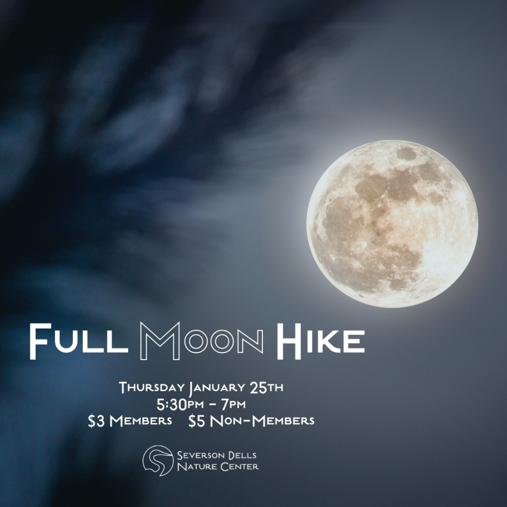 Full Moon Hike - Stateline Kids