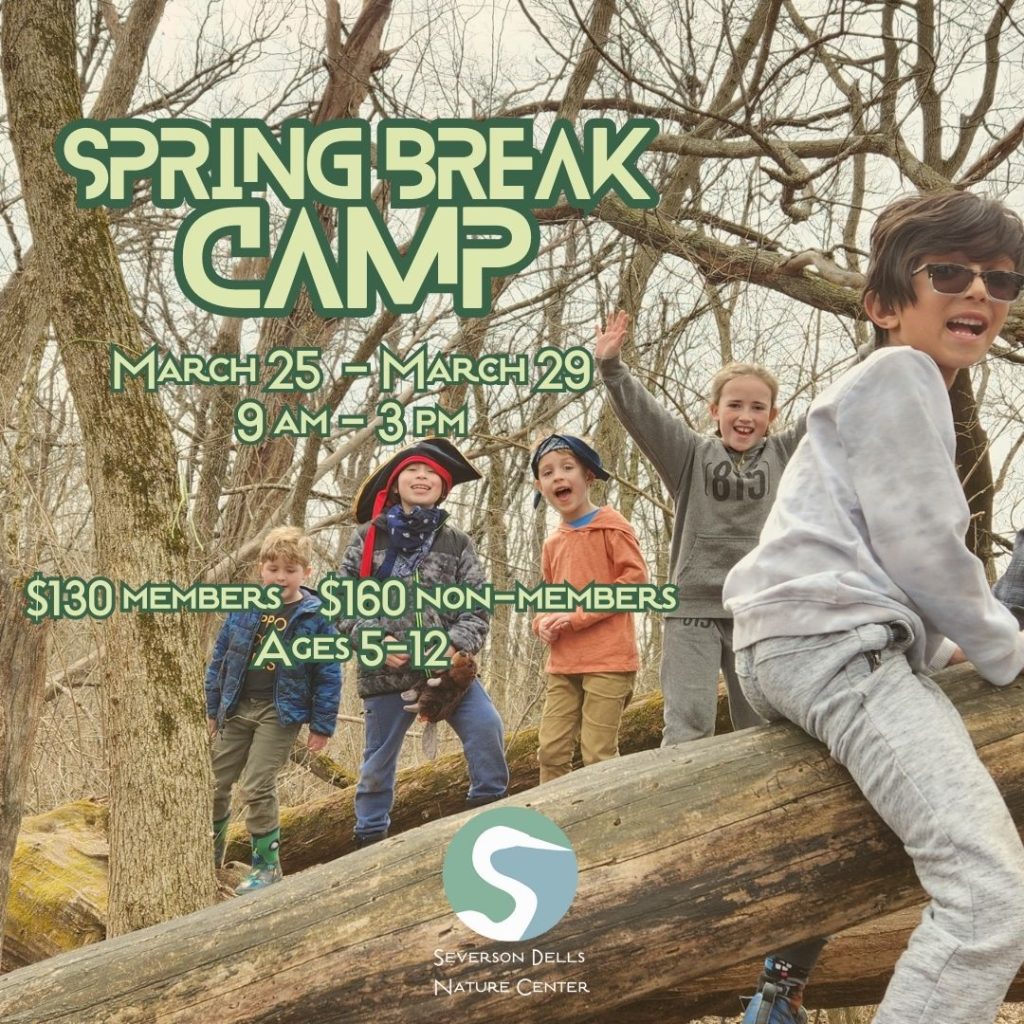 Severson Dells Spring Break Camp - Stateline Kids