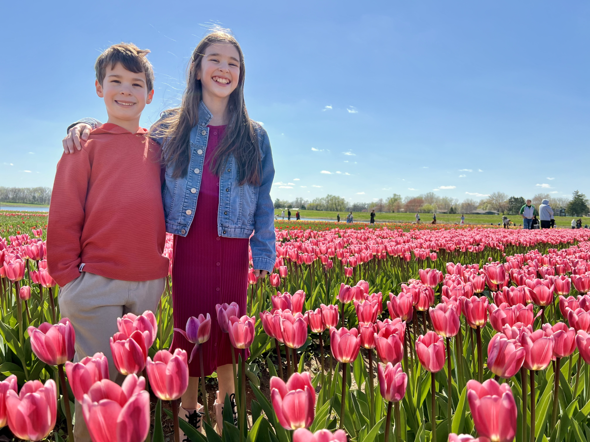 Experience the Beauty of Spring at the Richardson Adventure Farm Tulip ...